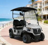 China Rust-Proof D302 All-Terrain Performance Golf Cart High-Strength Composite Independent Rear Suspension for sale