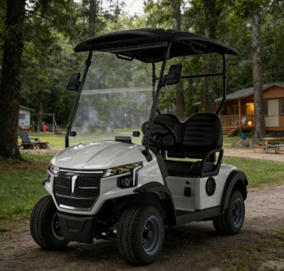 China Rust-proof D302 All-Terrain Performance Golf Cart with High-Strength Composites and Independent Rear Suspension for sale