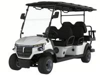 China D3 4 Seats Custom Street Legal Golf Cart with Double Swing Arm Independent Front Suspension and High-Strength Composite Body for sale