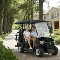 China High Chassis or Low Chassis Tires 2 Seats Golf Bus with Anti-row Seat Footboard for sale