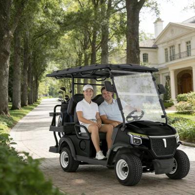China High Chassis or Low Chassis Tires 2 Seats Golf Bus with Anti-row Seat Footboard for sale