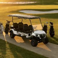 China Fine Workmanship 8-Passenger 6 Front-facing and 2 Rear-facing Golf Car with Acrylic Windshield for sale
