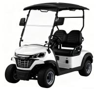 China LAKER AUTO Classic D102 2 Seats Electric Golf Cart Car with 48V/5KW AC Motor and 70km Range for sale