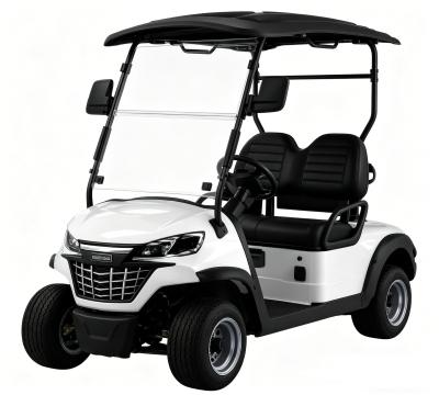 China LAKER AUTO Classic D102 2 Seats Electric Golf Cart Car with 48V/5KW AC Motor and 70km Range for sale