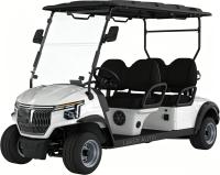 China Shock-absorbing D304 Golf Car with High-Strength Composite Materials and Trailing-Arm Independent Rear Suspension for sale
