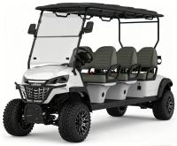 China LAKER 6 Seats Electric Golf Cart with 5KW High Chassis Double Wishbone Independent Suspension and 80km Range for Golf Courses and Resorts for sale