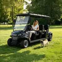 China 6 Seats Lithium Battery Golf Club Cart Low Chassis With With Ergonomically Designed Black Seats for sale