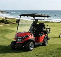 China LAKER AUTO Electric Golf Car D1 Series 4 Seats for Resort Transport Low Chassis for sale