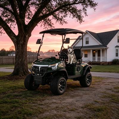China 2-seat lithium battery golf cart equipped with a 5kW motor serves as the perfect daily transport vehicle for commuting inside large private villas, ranches and farms for sale