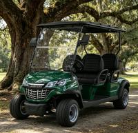 China Chinese Top Quality Golf Carts 4 Seats Lithium Battery Drive Low Chassis With Customized Service for sale