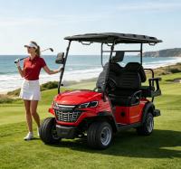 China Reliable 4-Seat Lightweight Electric Buggy with Customized Color for sale
