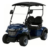 China Chinese Good Brand Compact 2 Seats Golf Buggy With Double Wishbone Independent Suspension Matched With Coil Springs And Tubular Hydraulic Shock Absorbers for sale