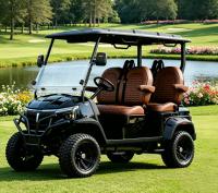 China Luxury New Energy Lithium Battery Off-Road 4 Seats Golf Buggy With Coil Springs And Cylindrical Hydraulic Shock Absorber System Equipped for sale
