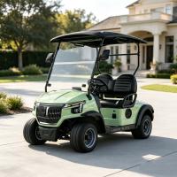 China All-Terrain Off-Road Electric Golf Cart 2 Seats Trailing Arm Stabilizer Bar Independent Suspension Rugged Body for sale