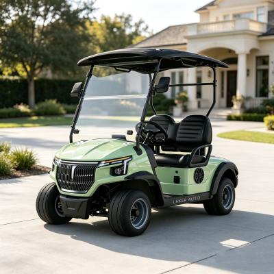 China All-Terrain Off-Road Electric Golf Cart 2 Seats Trailing Arm Stabilizer Bar Independent Suspension Rugged Body for sale