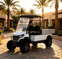 China All-Terrain Electric Utility Cart 2 Seats 40km/h 180mm Ground Clearance Double Wishbone Suspension 90km Range 5kW Motor for sale