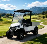 China All-Terrain Electric Utility Cart 2 Seats 40km/h 180mm Ground Clearance Double Wishbone Suspension 90km Range 5kW Motor for sale