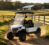 China Heavy-Duty Electric Utility Vehicle 2 Seats 25km/h Low Chassis 110mm Clearance Integral Rear Axle Warehouse Shuttle for sale
