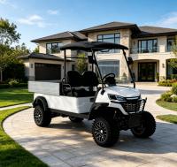 China Heavy-Duty Electric Utility Vehicle 2 Seats 25km/h Low Chassis 110mm Clearance Integral Rear Axle Warehouse Shuttle for sale