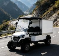 China Compact Electric Utility Tool Cart 2 Seats 25km/h 110mm Low Chassis Precision Warehouse Handling 5kW Motor for sale