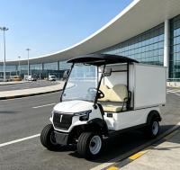 China Long-Wheelbase Electric Cargo Utility Buggy 2 Seats 40km/h 180mm Clearance All-Terrain Farm Transport for sale