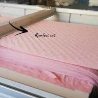 China Lihua Manufacturing Plant Horizontal Stretch Cutting Machine for Home Textile Fabric for sale