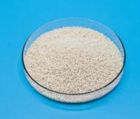China Selective Weedicide Nicosulfuron Herbicide 75% Wdg CAS No 111991-09-4 for sale