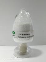 China Tribenuron-methyl95%TC ,Agricultural Herbicide ,Broad Leaved Weeds Post Emergence Control for sale