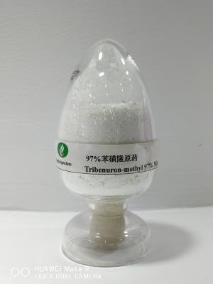 China Tribenuron-methyl95%TC ,Agricultural Herbicide ,Broad Leaved Weeds Post Emergence Control for sale