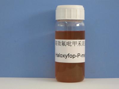 China Haloxyfop -R -Methyl 97% TC ,Brown Slabby Liquid ,apply on soybean,oilseed to kill annual weeds for sale