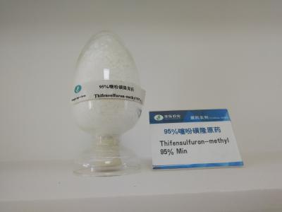 China Thifensulfuron Methyl 95% TC,White Powder ,Agrochemical Pesticides  Herbicide for sale