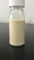China Nicosulfuron 40g/L OD,Liquid Agricultural Herbicides , Broadleaf Herbicide , for sale