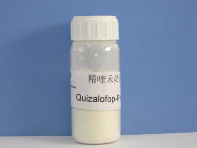 China Quizalofop-P- Ethyl95%TC, 98%TC,Soybean / Cotton Agrochemical Pesticide For Annual Grassy Weeds,Off-white powder for sale