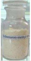 China Selective Herbicide Tribenuron Methyl Herbicide 95% Tc To Control Broadleaf Weeds for sale
