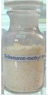 China Selective Herbicide Tribenuron Methyl Herbicide 95% Tc To Control Broadleaf Weeds for sale