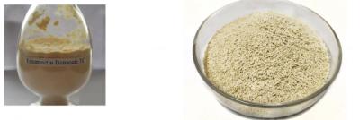 China Emamectin Benzoate 5% Wdg Pest Control Insecticide CAS 155569-91-8 for sale