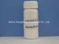 China Herbicide Nicosulfuron 97% TC CAS No 111991-0904 for sale