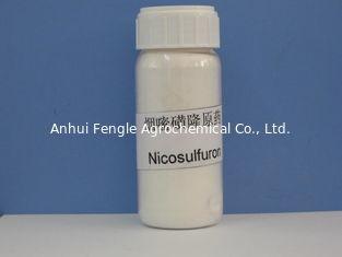 China Herbicide Nicosulfuron 97% TC CAS No 111991-0904 for sale