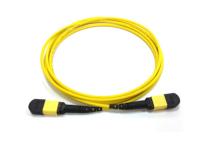 China G657A Singlemode MPO Patch Cord with 12 Channel Interface and Pure Forward Transmission Mode for sale
