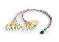 China MPO To LC Fanout 10G OM3 Patch Cord 24 Cores CE / ROHS Certification for sale
