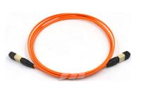 China 50 / 125UM Ribbon Fiber Optic Cable , 12F MPO Multimode Fiber Patch Cord for sale