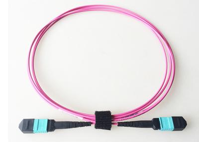 China MTP / MPO Fiber Optic Patch Cord OM4 40G Twelve Cores 3MM LSZH Jacket for sale