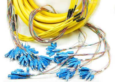 China Multi Purpose Single Mode Fiber Patch Cord 72 Cores SC SC Connector for sale