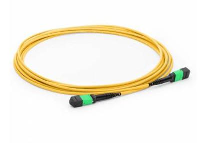China Plenum OFNP MPO Fiber Optic Patch Cord Single Mode OS1 OS2 OM1 OM2 OM3 OM4 OM5 for sale