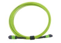 China OM5 12F MPO Fiber Optic Patch Cord MTP Female MPO Trunk Cable for sale