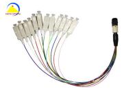 China 12F Fanout 10G OM3 Optical Fiber Patch Cord MPO To SC Fiber Optic Pigtail for sale