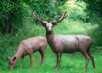 China Standing deer & lying deer of American country retro creative idea AA-018 for sale
