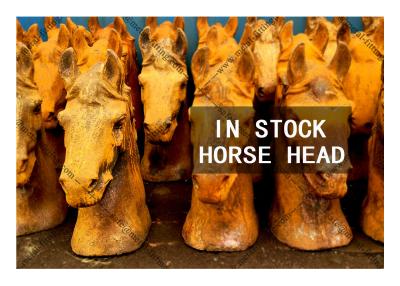 China TJ-002 Horse Head for sale