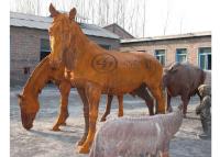 China Horse G1275 for sale