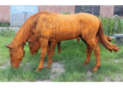 China Horse G1276 for sale